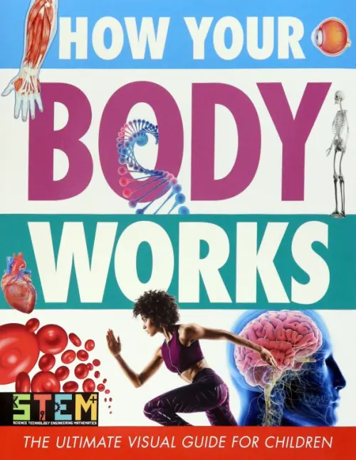Книга: How Your Body Works. The Ultimate Visual Guide. Купить книгу ...